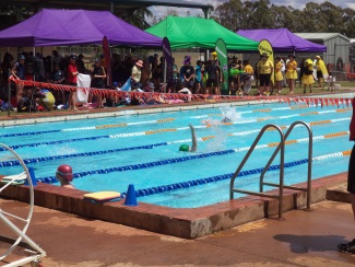 Middle Ridge State School